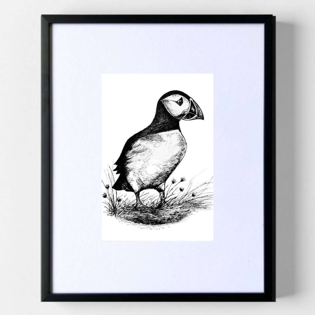 Original Pen & Ink Illustrations - Becky MacPherson